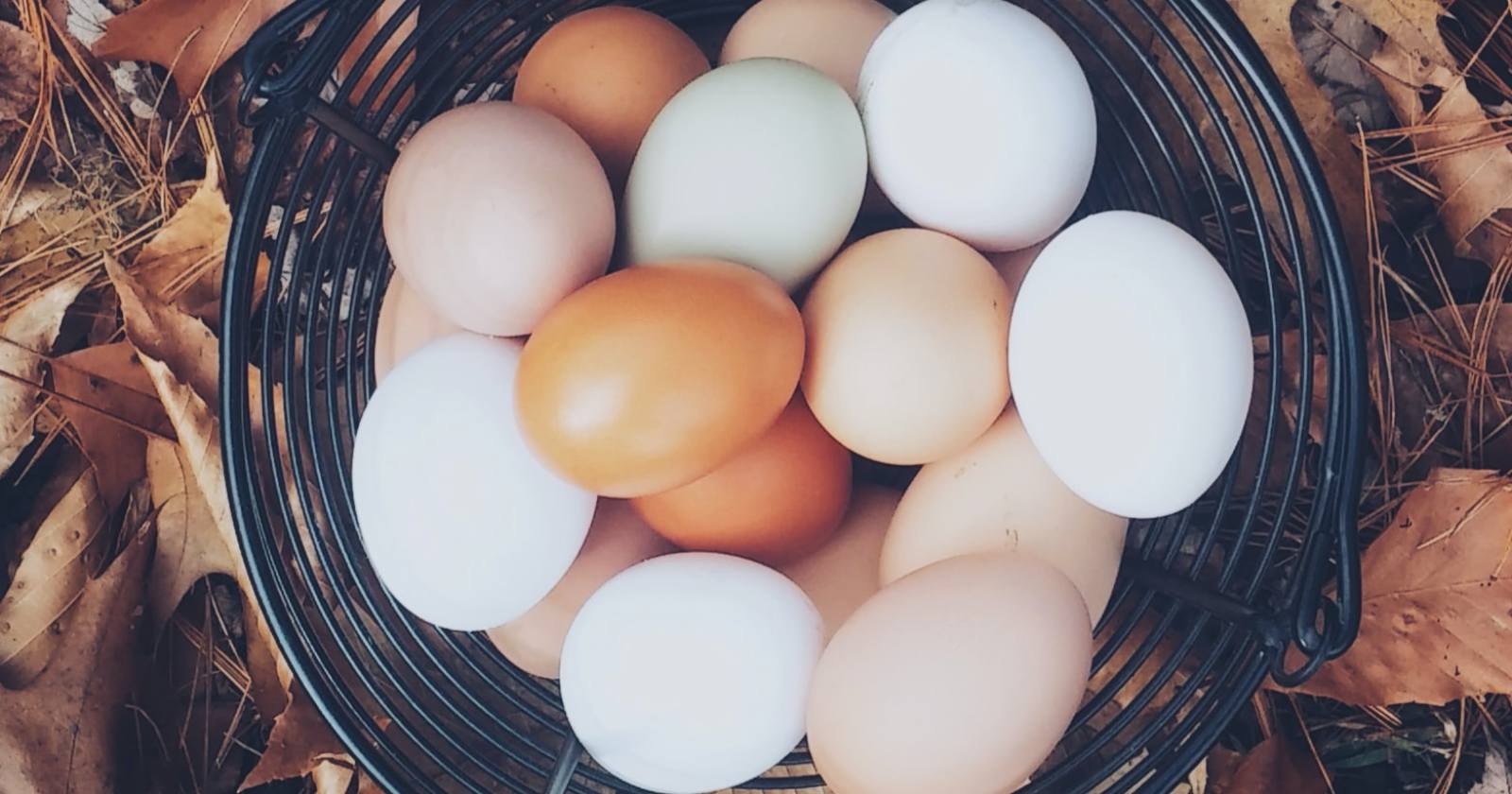 USDA Drafts Major ‘Made in USA’ Label Change | Davis Wright Tremaine