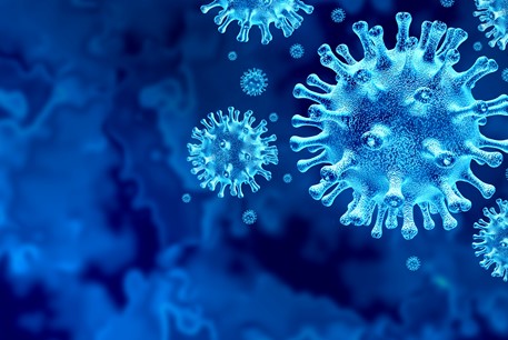 New York Issues Online Information and Forms Regarding New Quarantine ...