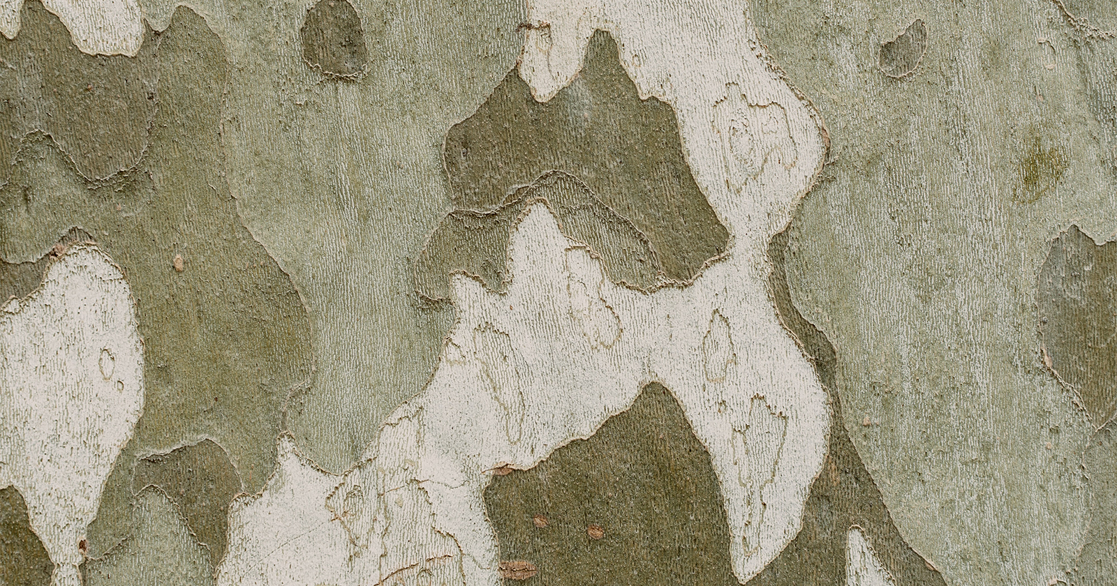 PFAS Polluters Soon To Be Held Accountable Under CERCLA After Major EPA ...