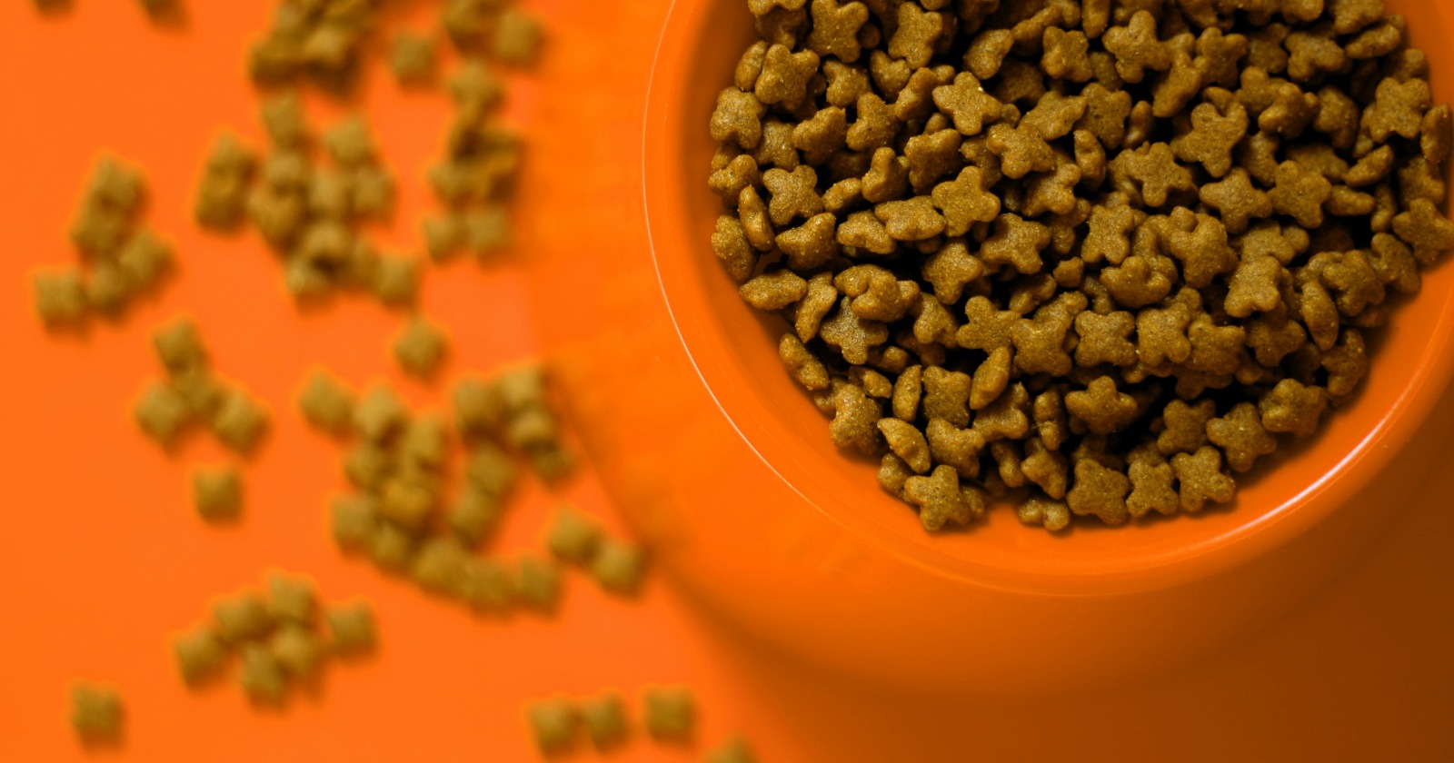 Understanding AAFCO's New Model Pet Food Regulations | Davis Wright ...